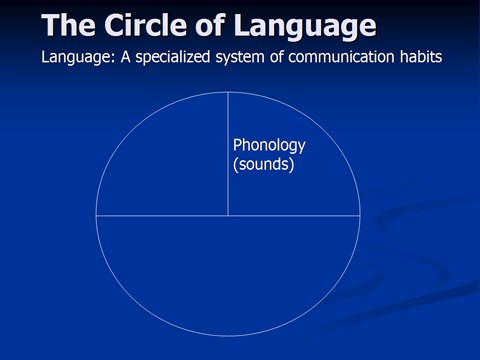 DTS Online Education Player
